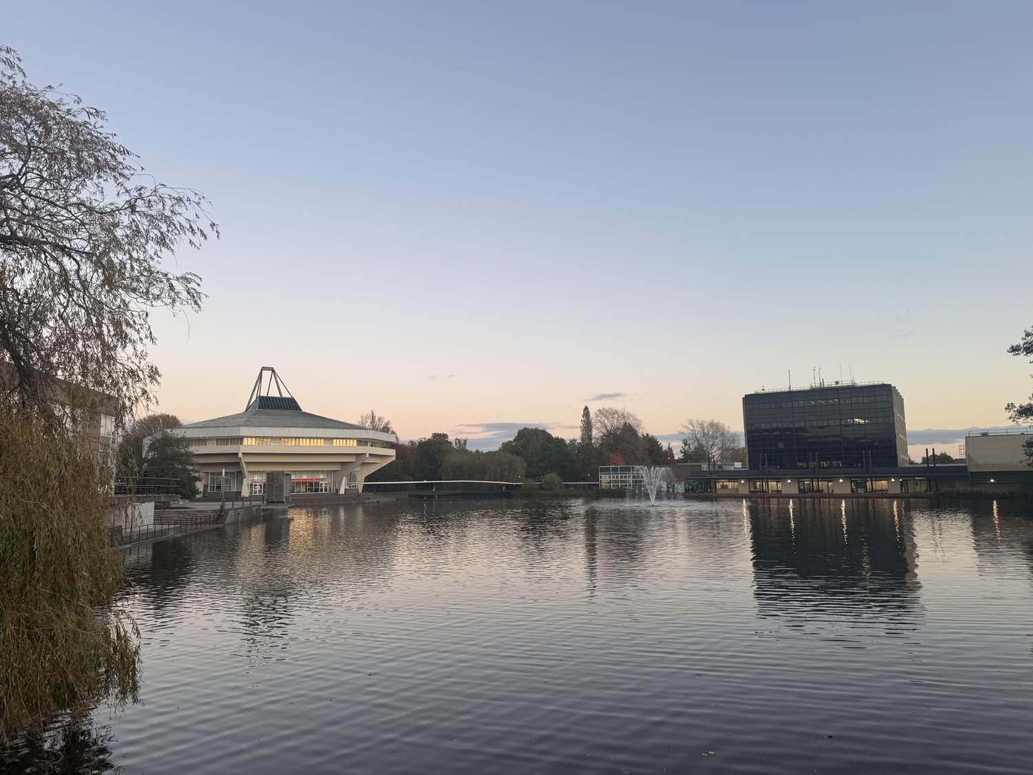 What to Eat and Drink at Roses 2025: Your Complete Guide - Nouse