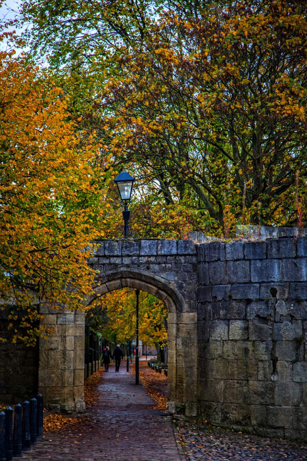 I will only take York in the Autumn - Nouse