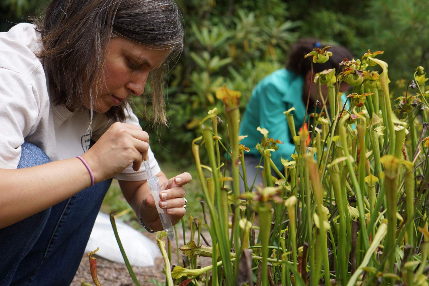 York Research Spotlight: how our medicines are damaging our ecosystems ...