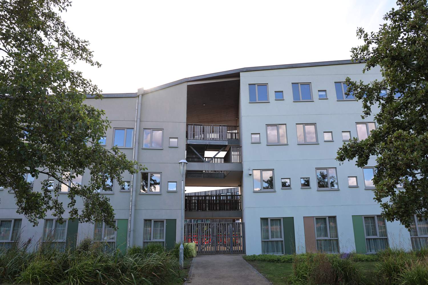 The removal of college teams puts York’s college system ‘at risk’ - Nouse